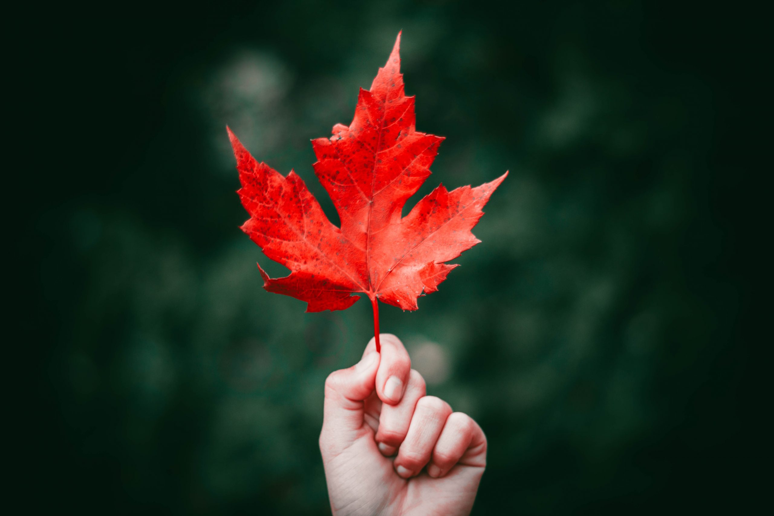 7 Things To Know And Do Before Moving From The U S To Canada 7 Things To Know And Do Before Moving From The U S To Canada