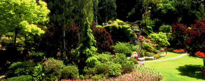 Top 7 Safest Neighborhoods to live in Washington, DC with the Best ...