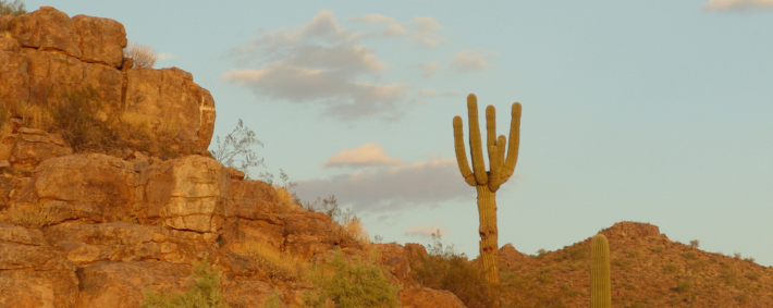 Top 5 Safest cities in Arizona with the Best quality of life – 2024